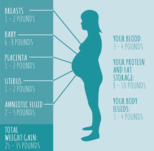 PCOS Weight Gain Treatment in Andheri | Dr Shilpa